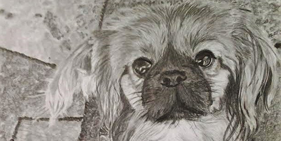 Kutya rajz készítése - élethű szőrrajzolás! www.muveszhaz.com