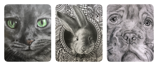 Állat Portré Rajztanfolyam - Művészház