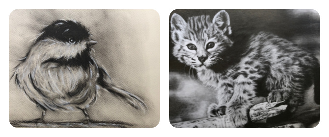 Állat Portré Rajztanfolyam - Művészház